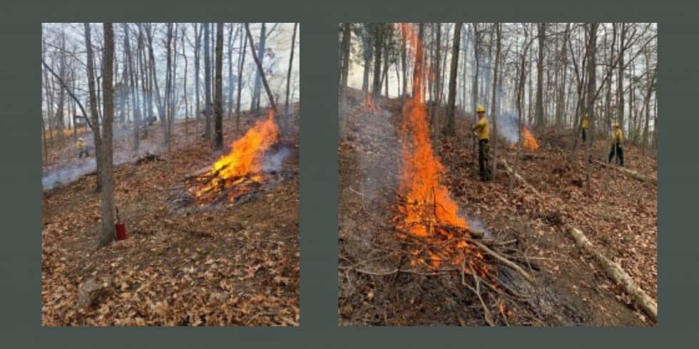 Bringing the Fire Adapted Communities Framework to the Central ...