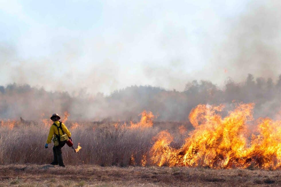 Loads and Ladders: Catalyzing the "Fire Humanities" for Fire Adaptation ...