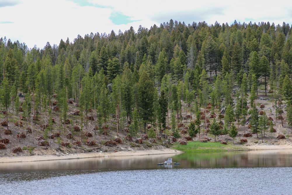 Safeguarding a Watershed – The Basin Creek Good Neighbor Authority ...